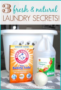 3 All Natural Laundry Tips! {Eco-Friendly Laundry} - Making Lemonade