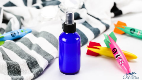 Protect Your Hair from the Pool with this DIY Swim Spray - Making Lemonade