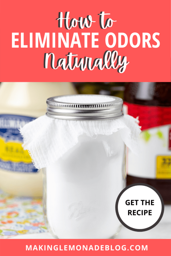 DIY Fridge Deodorizer (Natural Odor Eaters) - Making Lemonade