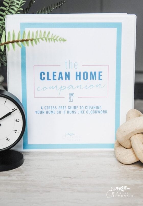 The Ultimate Printable Cleaning Binder - Making Lemonade
