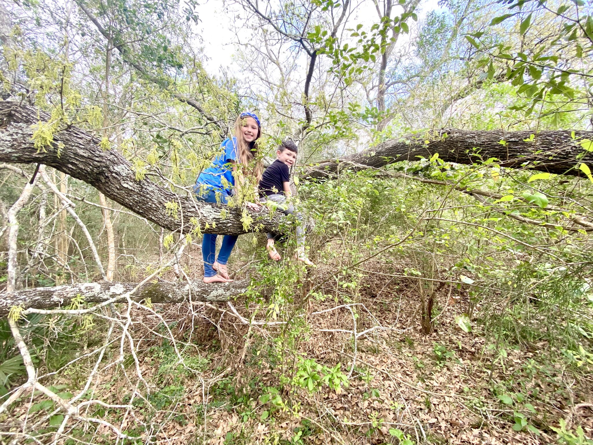 2. DIY Arts and Crafts Day