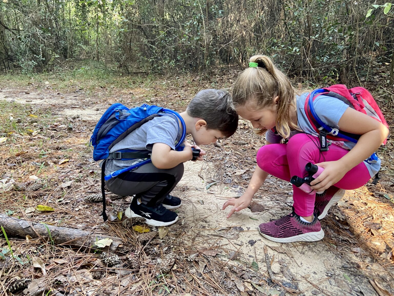 1. Go on a Nature Scavenger Hunt