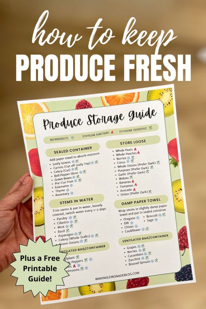 Learn ten simple tips to keep your produce fresh longer and grab a Free ...